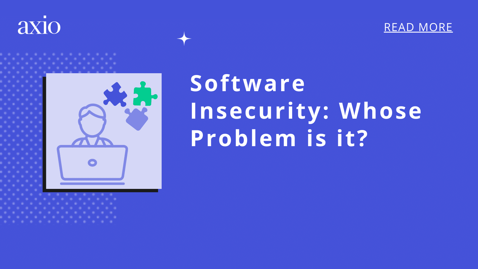 Software Insecurity: Whose Problem is it?